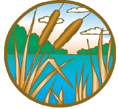 The Amazing Cattail | Scott County, Iowa