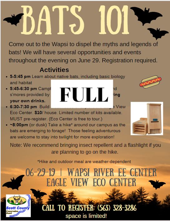 Bats 101 | Scott County, Iowa